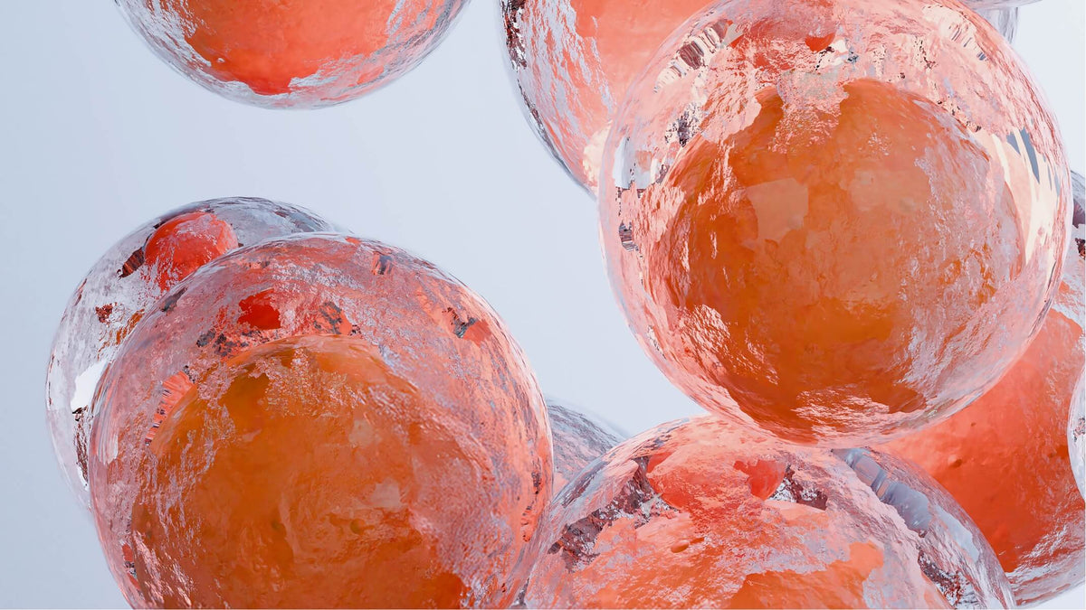 Bon et mauvais cholestérol : différences, risques et rôle des ...